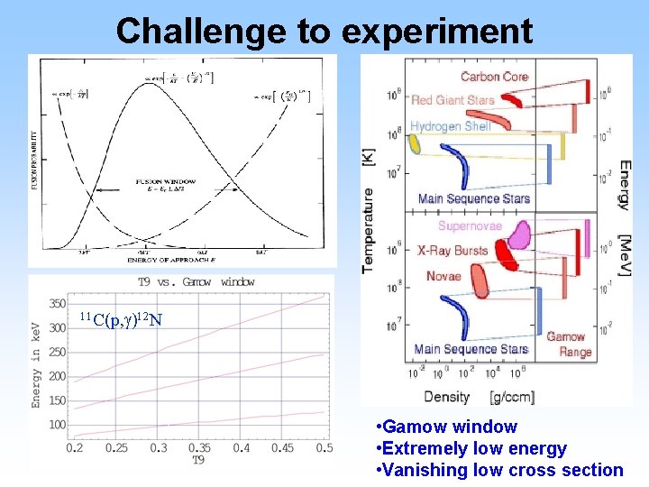 Nuclear astrophysical reactions by unstable beams and Progress