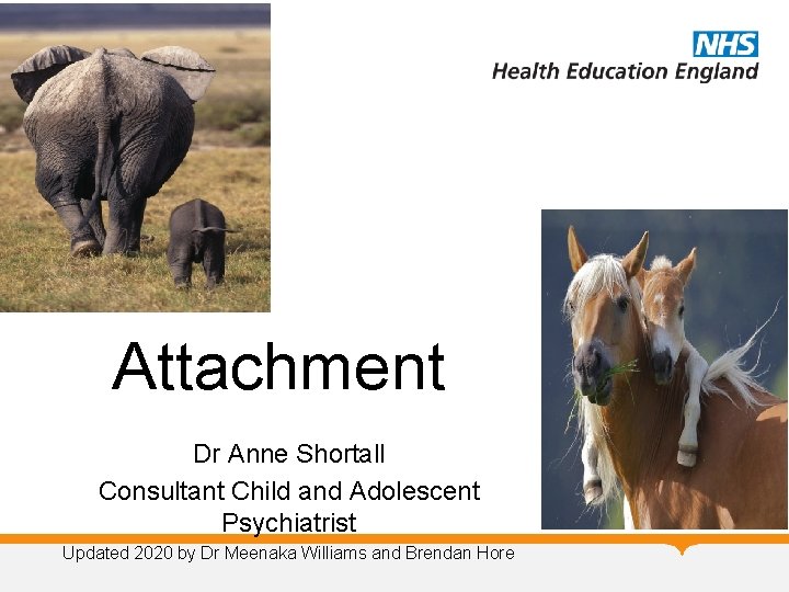 Attachment Dr Anne Shortall Consultant Child and Adolescent
