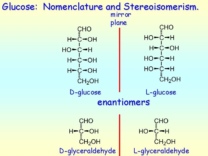What are carbohydrates CnH 2 On carbon hydrates