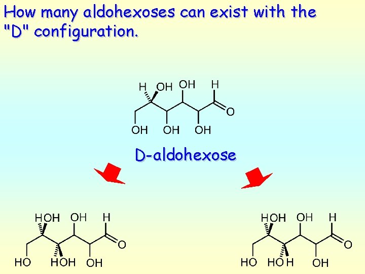 What are carbohydrates CnH 2 On carbon hydrates