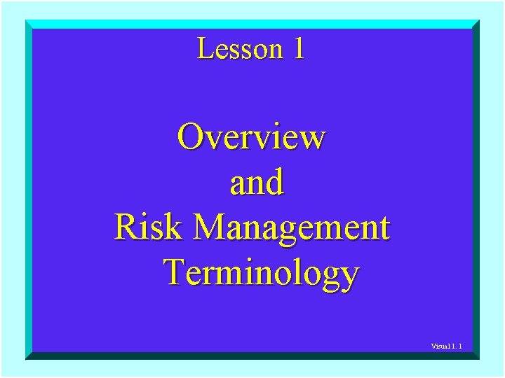 Lesson 1 Overview and Risk Management Terminology Visual