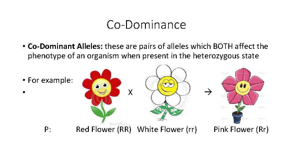 Patterns of Inheritance All of the traits and