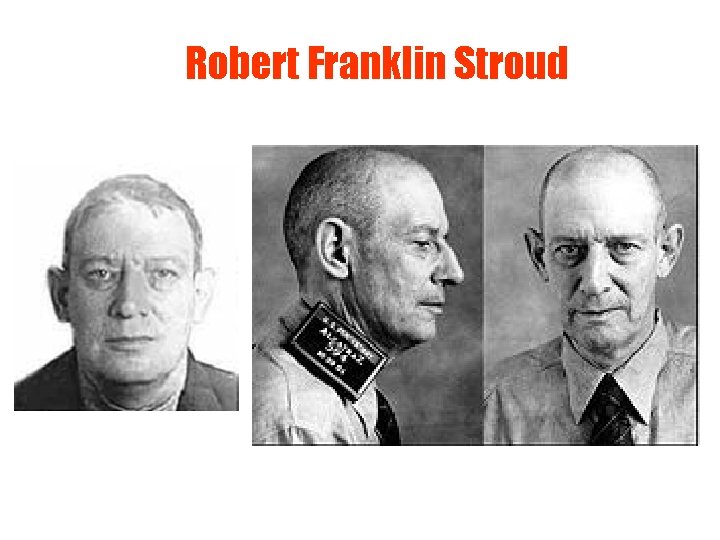 Alcatraz Writing to report The Big Picture We