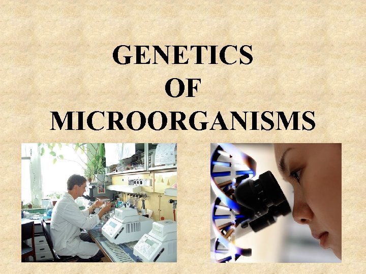GENETICS OF MICROORGANISMS QUESTIONS OF LECTURE 1 Introduction