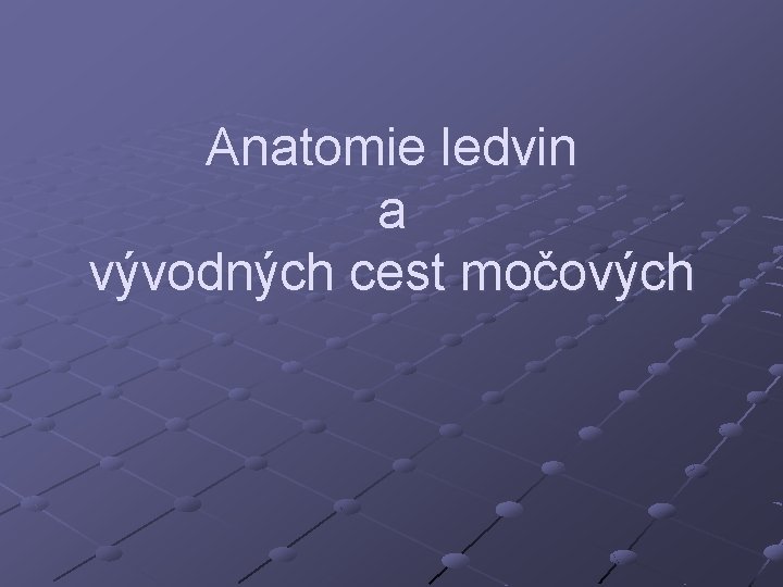 Anatomie ledvin a vvodnch cest moovch Radiodiagnostika ledvin