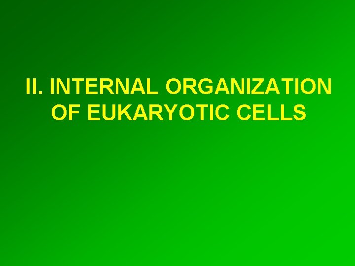 II INTERNAL ORGANIZATION OF EUKARYOTIC CELLS Structure of