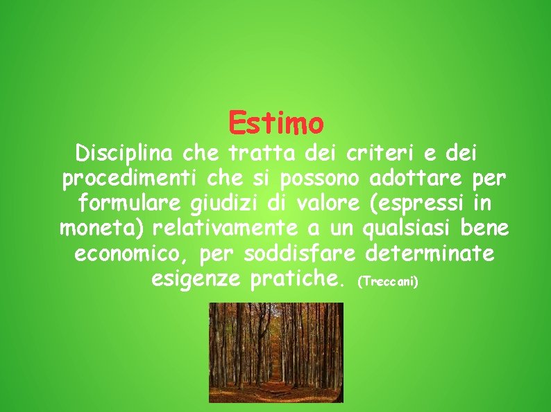 ESTIMO Estimo Disciplina che tratta dei criteri e
