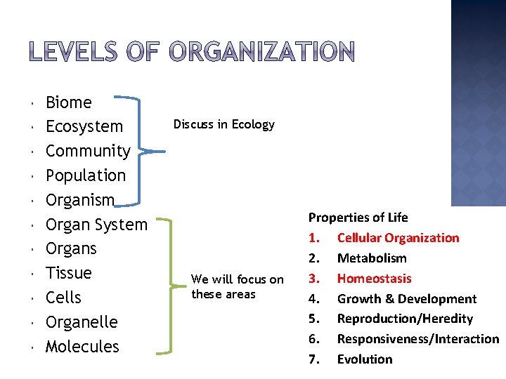 Cells Unit Biome Ecosystem Community Population Organism Organ