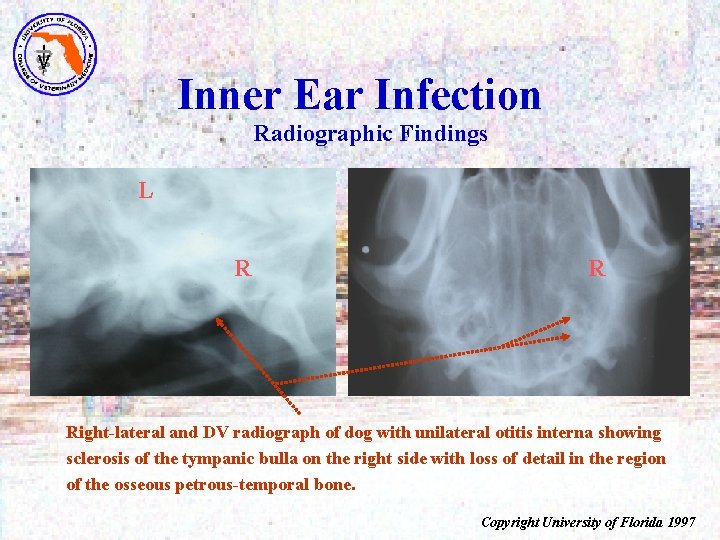 New tilt on an old problem Copyright University