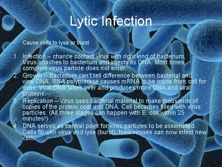 Bell ringer 1 What is a bacteriophage 2