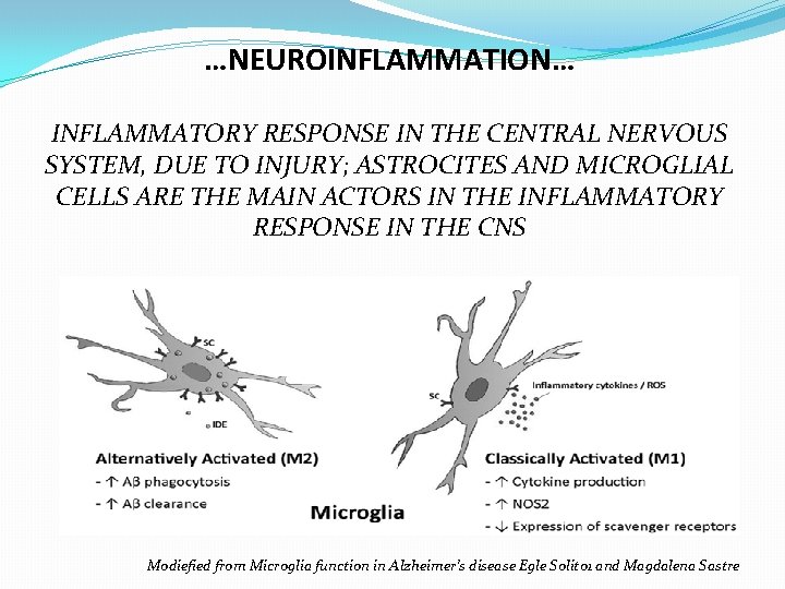 METABOLIC SYNDROME NEUROINFLAMMATION AND COGNITIVE IMPAIRMENT STATE OF