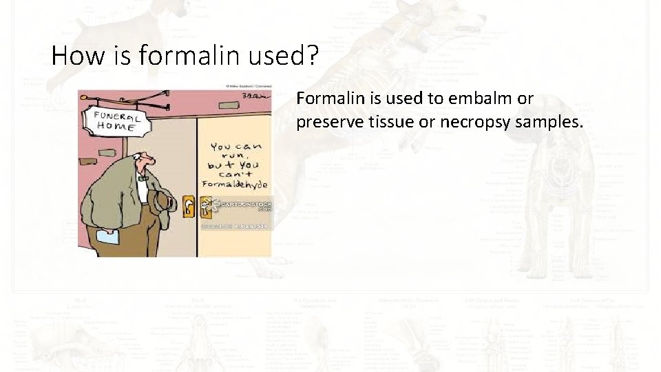 Formalin Training Anatomy and Physiology Laboratory Department of