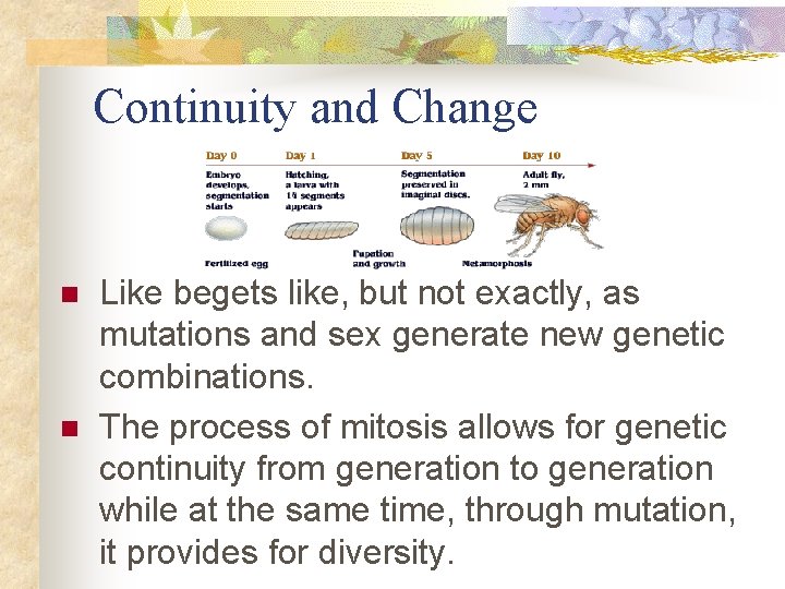 Major Themes of AP Biology Adapted from The