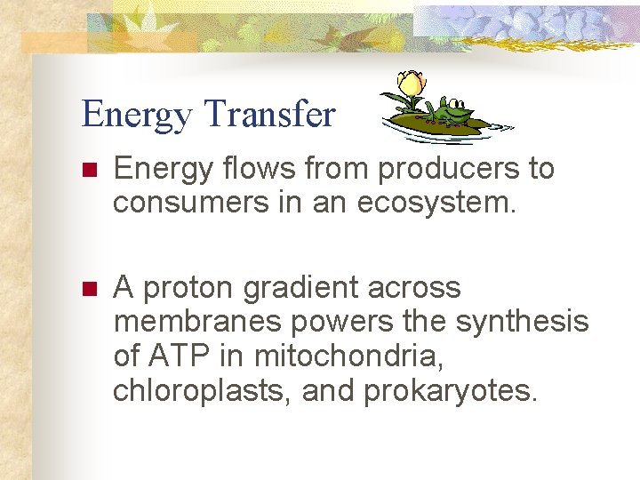 Major Themes of AP Biology Adapted from The
