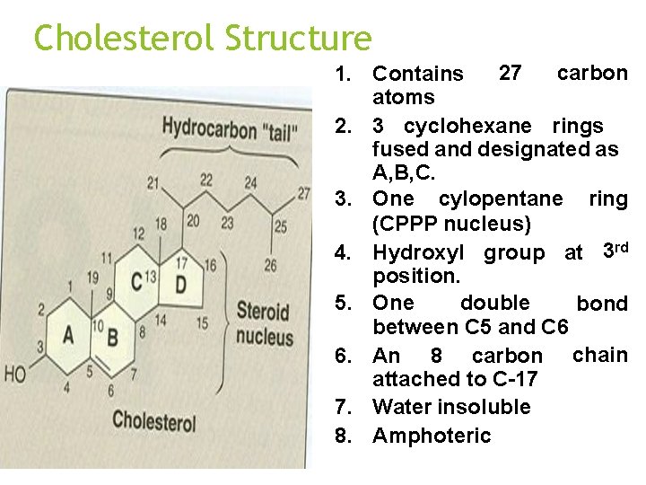 Cholesterol and ketone body metabolism DR ARNEL BANAGA