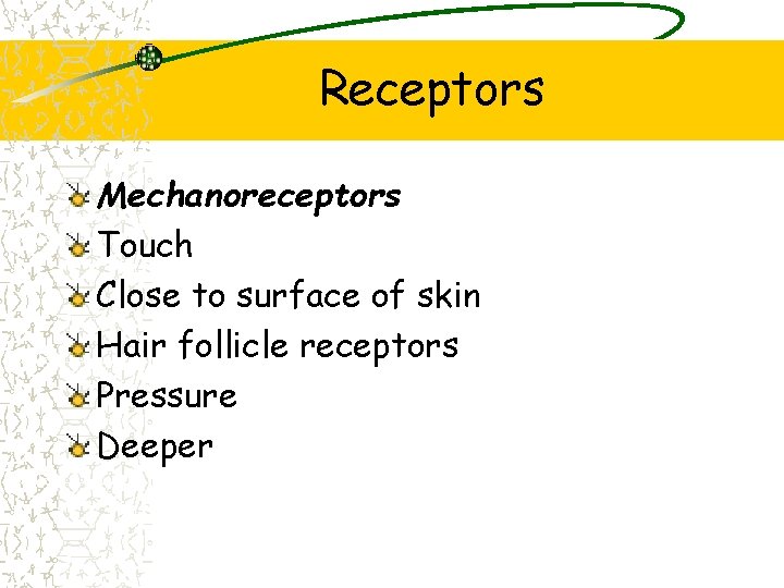 Sensory systems Chapter 50 Five senses Touch Taste