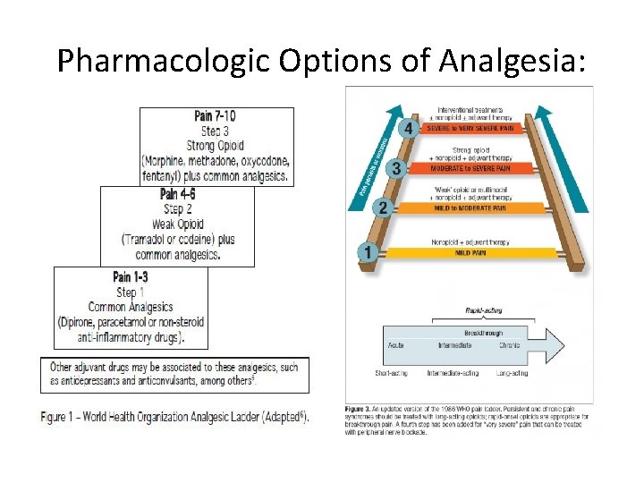 Pharmacology Review Whats New in Ambulatory Medications Roger