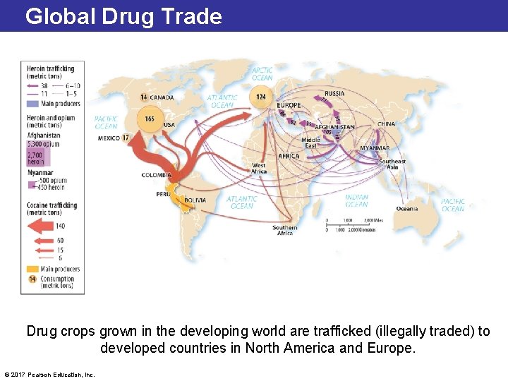 Biotechnology Genetically Modified Crops In the United States