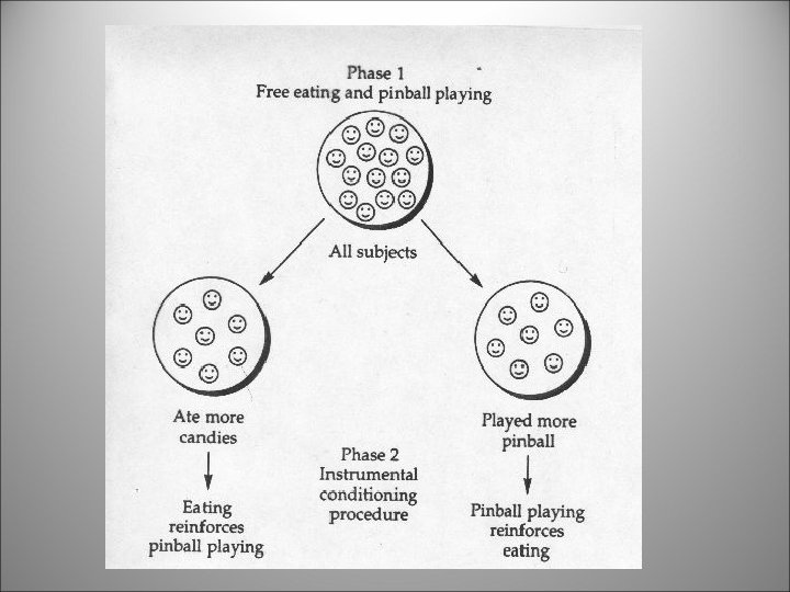 Theories of Reinforcement Why is a reinforcer effective