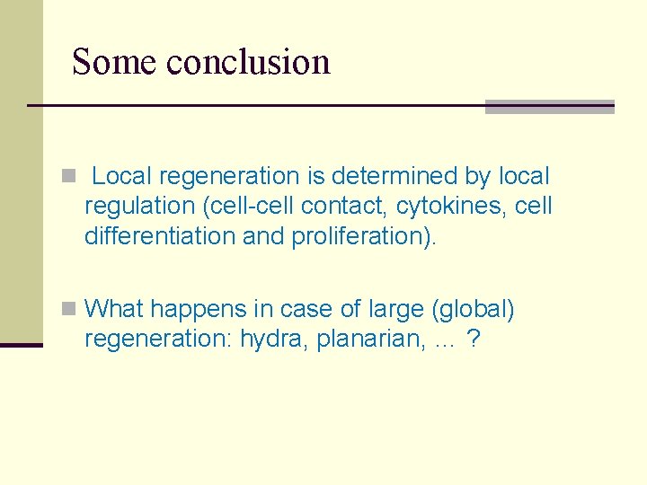 Mathematical Modelling of Morphogenesis and Regeneration on the
