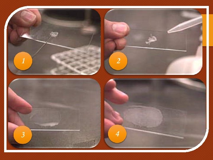 What is a Stain v A stain is