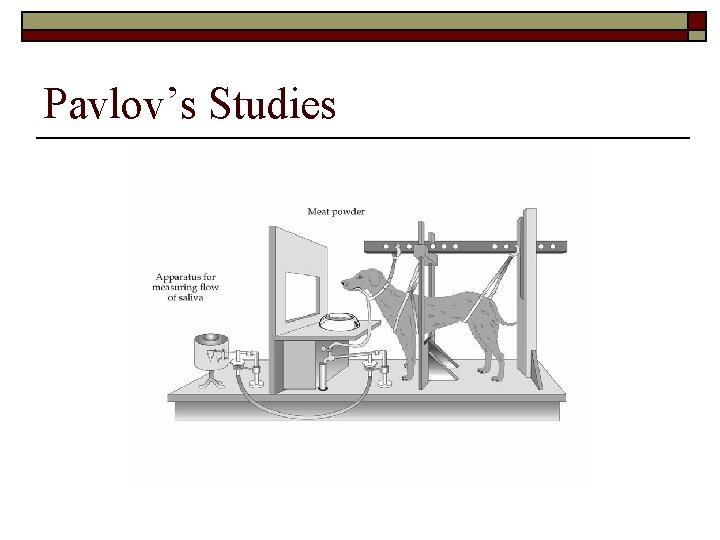 PSY 402 Theories of Learning Chapter 1 What