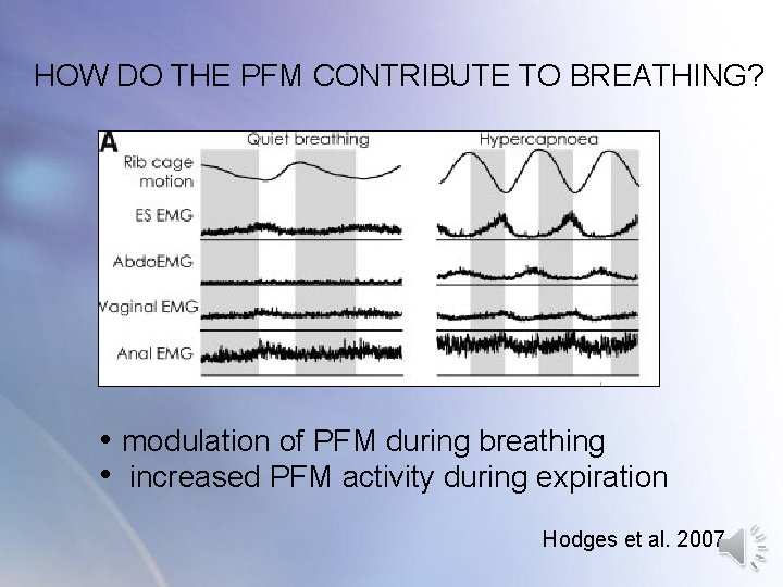 THE PELVIC FLOOR ANATOMY FUNCTION AND CLINICAL INTEGRATION