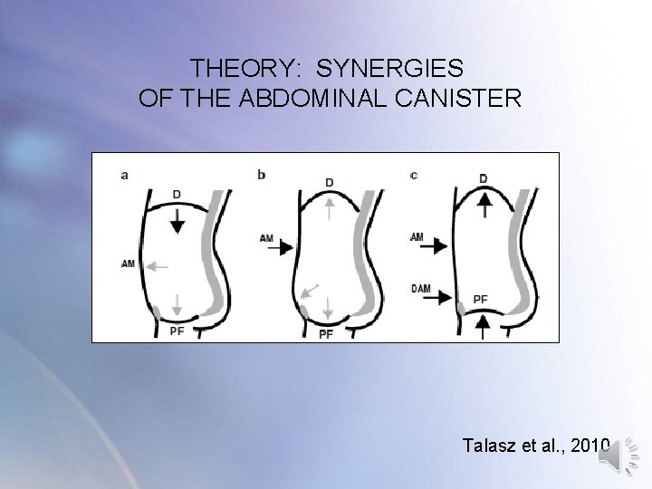 THE PELVIC FLOOR ANATOMY FUNCTION AND CLINICAL INTEGRATION
