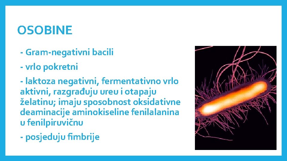 12 GRAMNEGATIVNE TAPIASTE BAKTERIJE ROD PROTEUS Medicinska kola