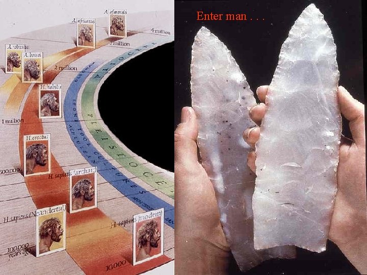 Pleistocene megafauna Reference sites Yukon Beringia Interpretive Centre