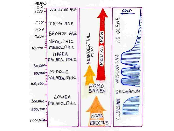 Pleistocene megafauna Reference sites Yukon Beringia Interpretive Centre