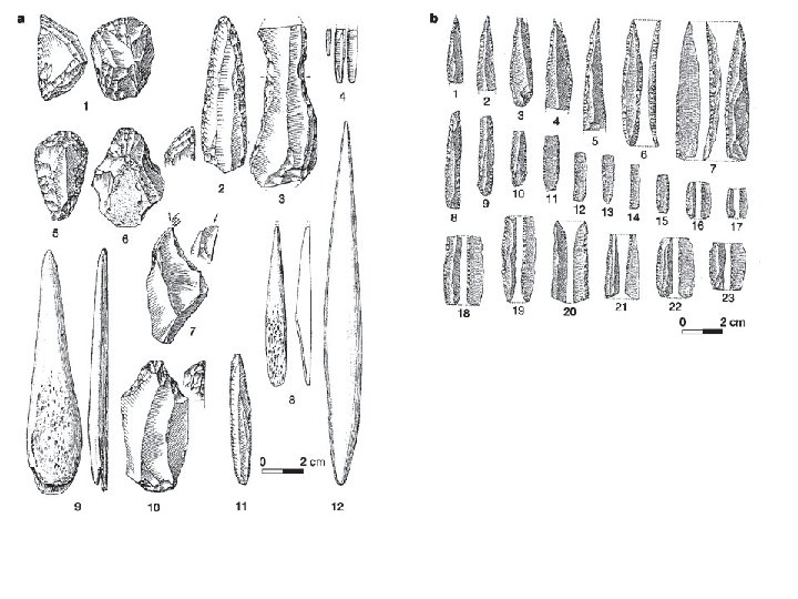 Pleistocene megafauna Reference sites Yukon Beringia Interpretive Centre