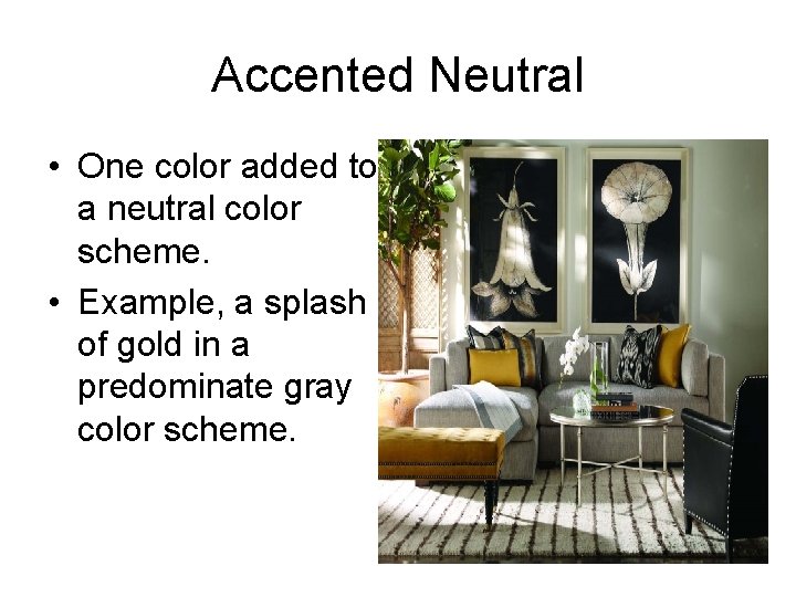 Color Schemes Monochromatic Mono means one Chromatic means