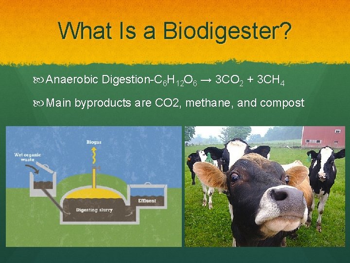 The Princeton Biodigester Project By Kevin Griffin Outline