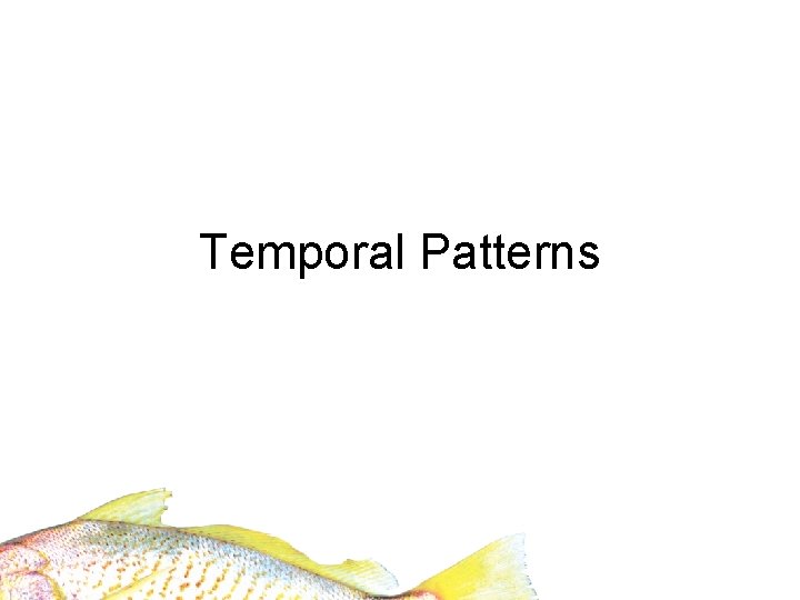 Spatial and temporal patterns in food web accumulation