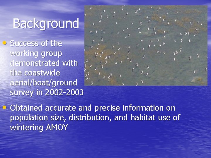 Banders without Borders Implementing a largescale cooperative markresight