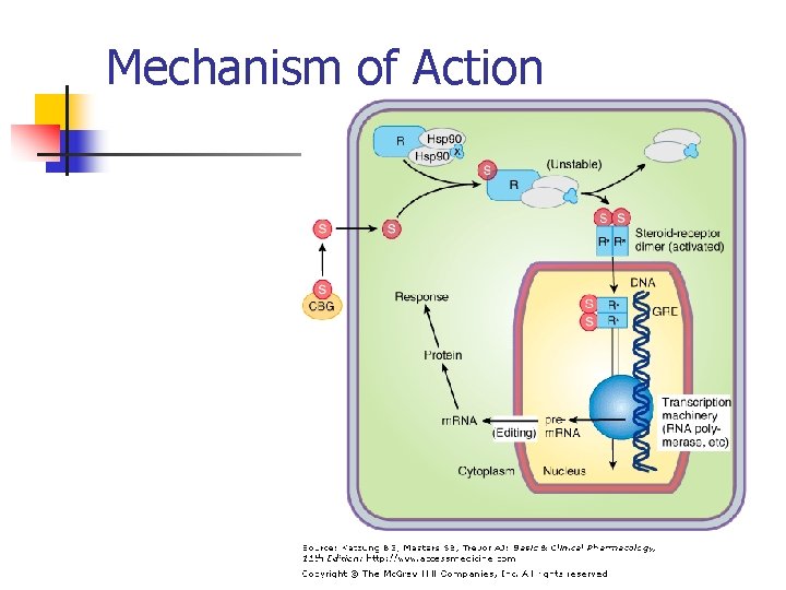 Adrenocorticosteroids Adrenocortical Antagonists By S Bohlooli Ph D