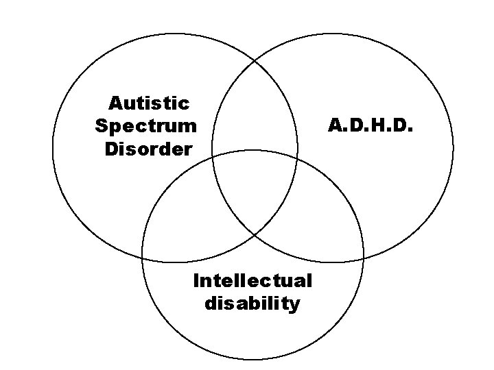 Children young People with Intellectual Disability Mental Health