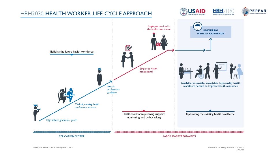 Using the Life Cycle Approach for a Rapid