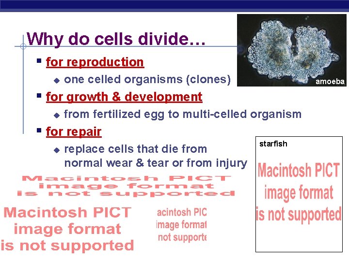 Biology is the only subject in which multiplication