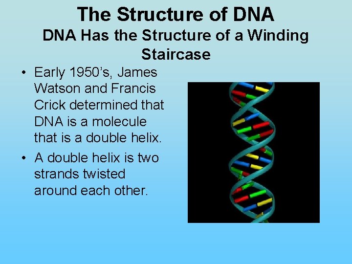 The Structure of DNA Has the Structure of