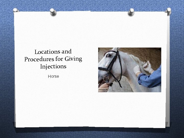 Injections 101 The Basics on Injection Types Sites