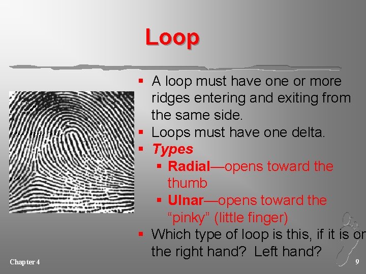 Chapter 4 Fingerprints Fingerprints can not lie but