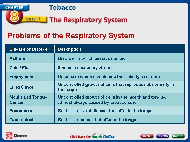 Chapter 8 Lesson Two Your Respiratory System Page