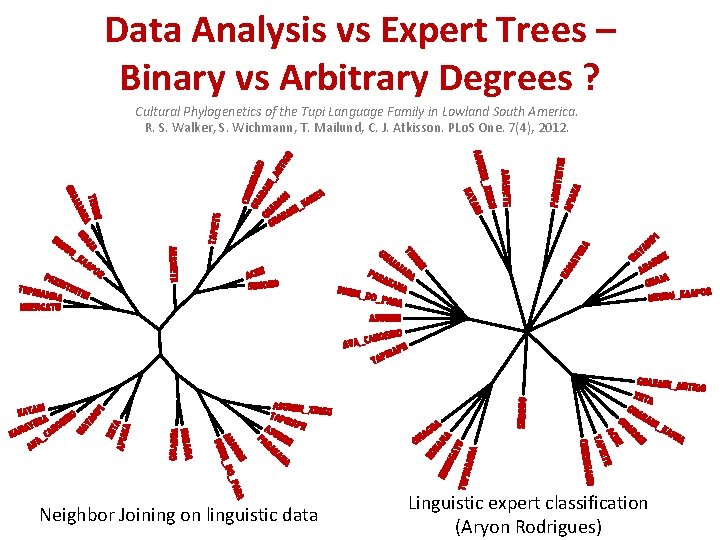Computing Triplet and Quartet Distances Between Trees Gerth