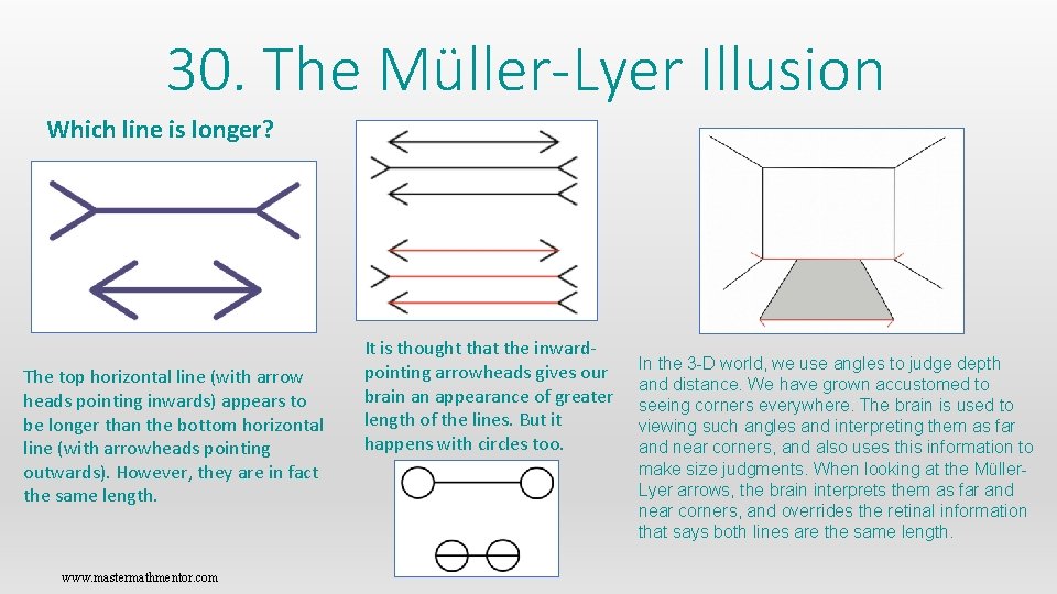 30 The MllerLyer Illusion Which line is longer