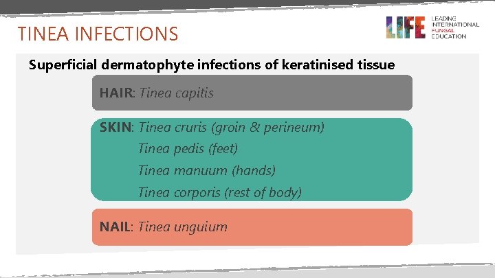 TINEA CAPITIS Dr Immaculate Kariuki Consultant Paediatrician Nairobi