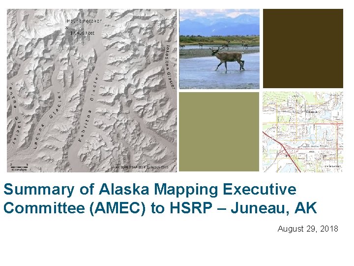 Summary of Alaska Mapping Executive Committee AMEC to