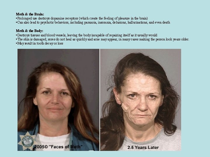 Psychoactive Drugs and Synapses Review the Synapse What