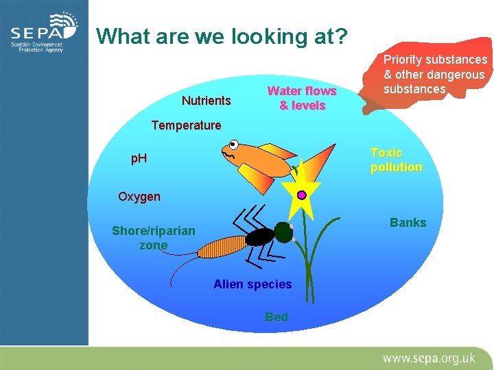 Classification Monitoring assessing and classifying the environment Why